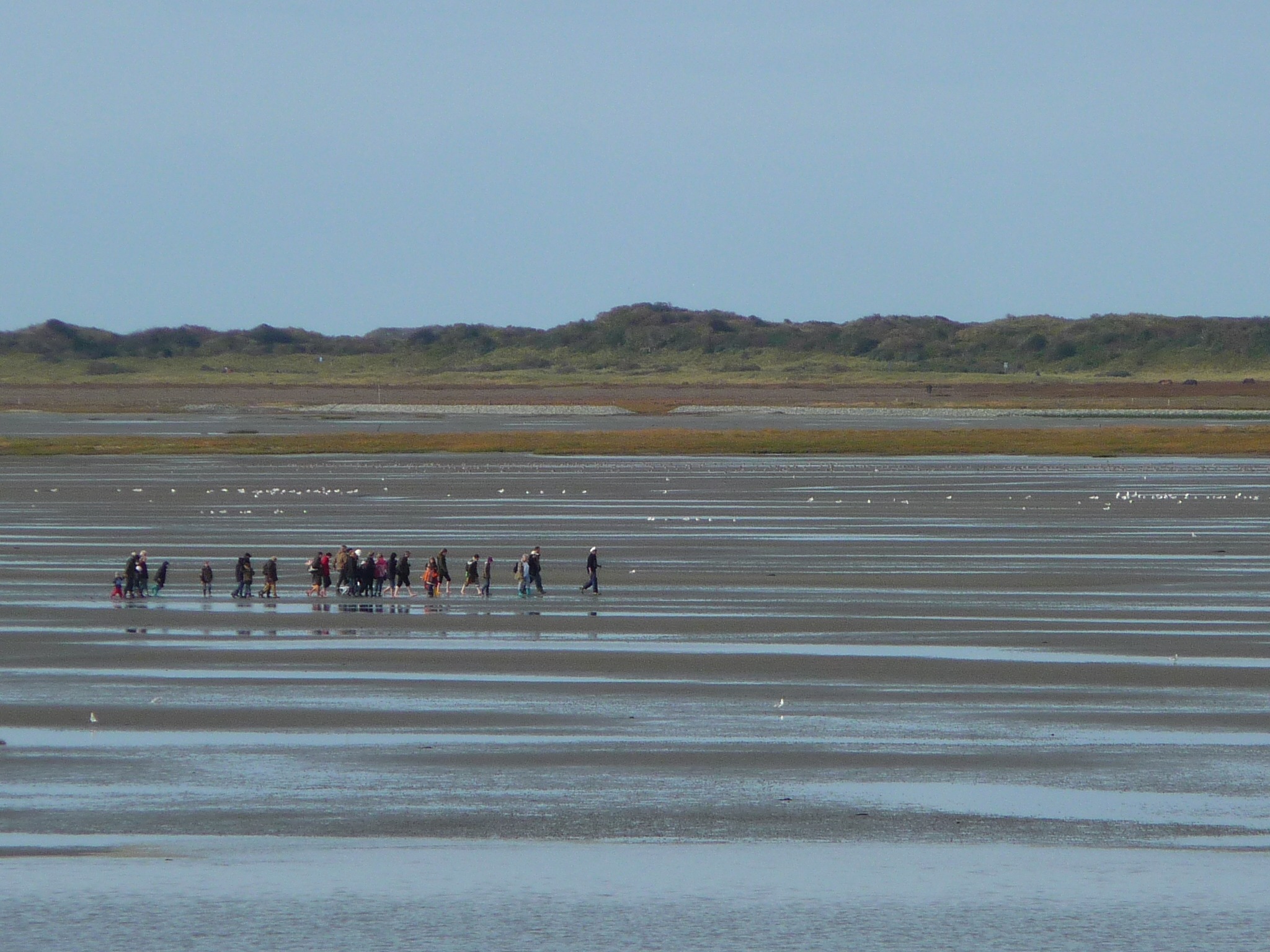 Wattwanderung Juist | Inlandstourismus.de